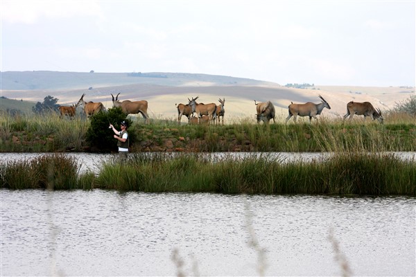 Home Page [www.elandskloof.co.za]